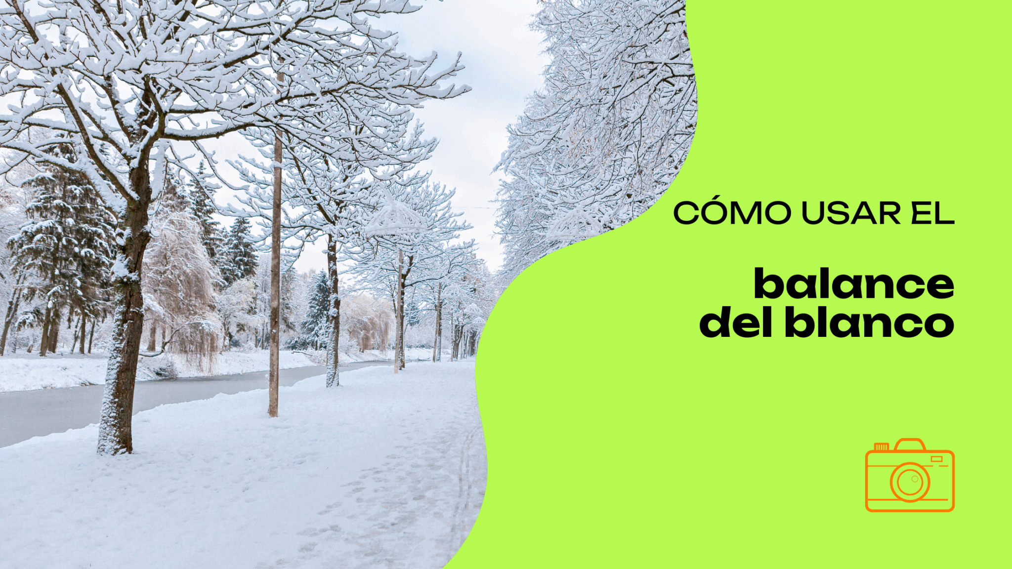 El balance de blancos: el truco que hace perfectas tus fotos - Álbum de ...